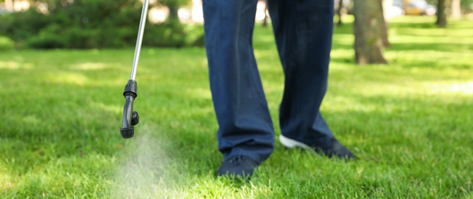 Landscape Bed Weed Control | Delaware, Lewis Center & Powell, OH ...