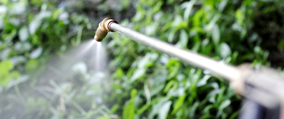 Perimeter Pest Control | Delaware, Lewis Center & Powell, OH | Hoffmans ...